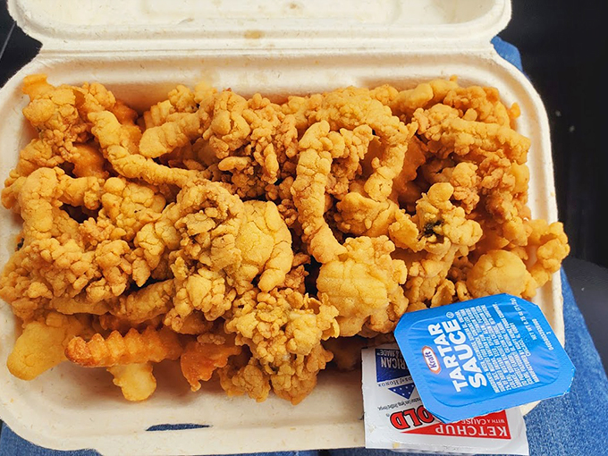 Golden-brown whole belly clams, crispy on the outside, tender within - the kind that make you forget counting calories exists.