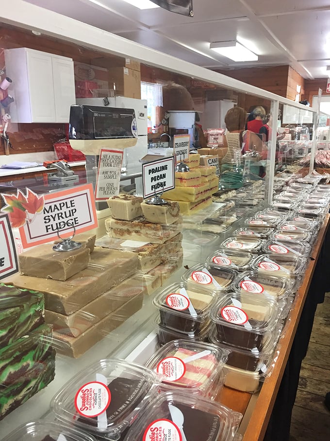 Behold, the fudge counter of dreams! It's like the Sistine Chapel of sweets, with each flavor a masterpiece. Michelangelo would've traded his paintbrush for a spatula.