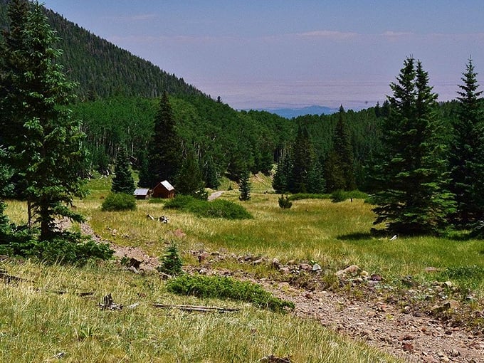 Cabin in the woods or nature's cozy corner? This little hideaway is giving serious fairytale vibes. Just watch out for any bears named Goldilocks! Photo credit: CJSArizona