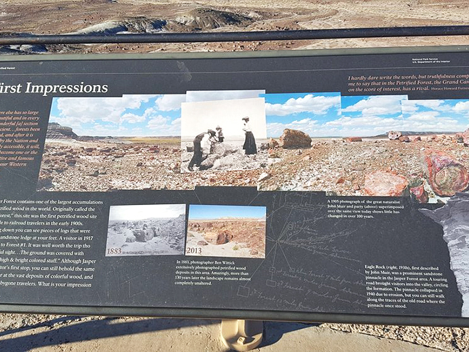 History's first impressions are set in stone here. This informative display is like a time machine, minus the flux capacitor and DeLorean.