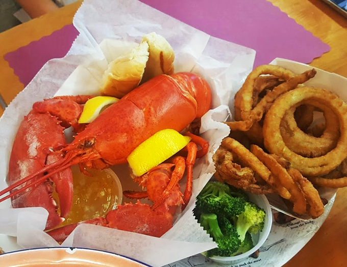 A perfectly steamed lobster shares the spotlight with crispy onion rings, proving that simple pleasures are often the best.