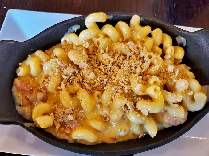 This isn't your childhood mac and cheese - it's what your childhood mac and cheese grew up dreaming it could become.