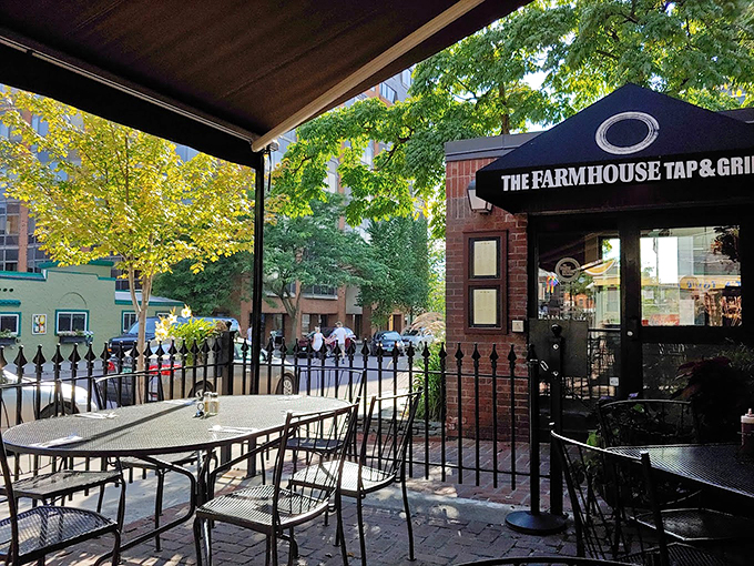 Where urban charm meets Vermont casual - the perfect spot to watch Burlington life unfold while savoring your meal.