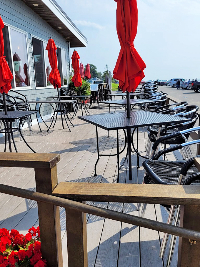 Red umbrellas dot the deck like maritime cherry blossoms, offering front-row seats to nature's endless ocean show. 