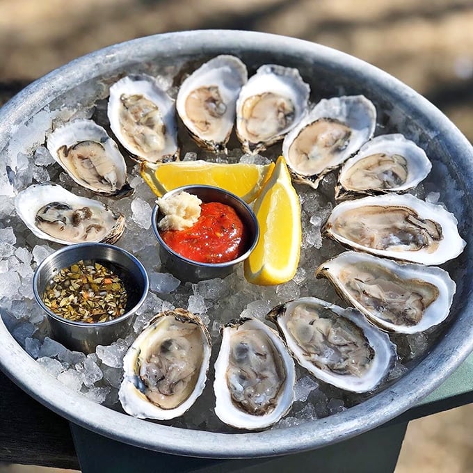 A dozen briny beauties on ice, waiting to kickstart your appetite with a splash of citrus and cocktail sauce.