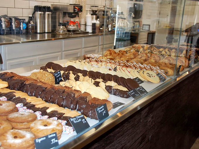 A glass case of temptation where chocolate-dipped dreams meet powdered sugar fantasies. Resistance is deliciously futile.