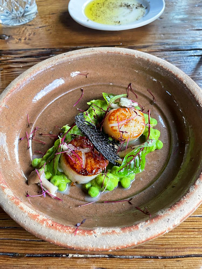 These perfectly seared scallops rest on a bed of vibrant greens, proving that sometimes the simplest presentations are the most stunning. Photo credit: Jeff D.
