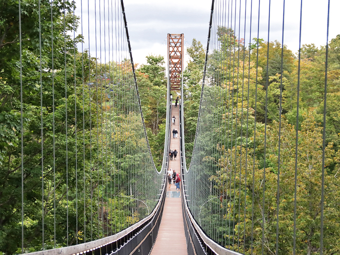 Brave souls venture forth, proving that the journey of a thousand feet begins with a single step... and maybe a deep breath or two.