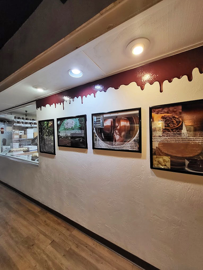 Wall Decor A chocolate education awaits! These walls don't just talk; they whisper sweet nothings about cocoa's journey from bean to bar. 