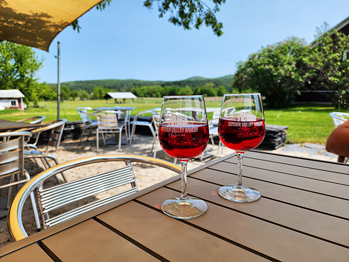 Table for two with a view, please! These glasses of ruby-red goodness are best enjoyed al fresco, where every sip comes with a side of breathtaking scenery.
