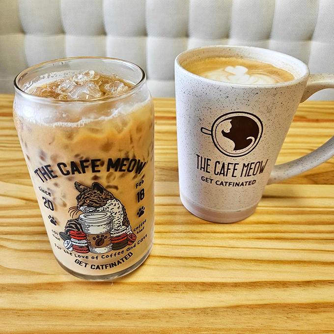 Double trouble never looked so delicious. Whether you're team hot or cold, these brews are guaranteed to get you "catfinated."