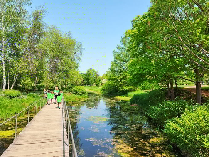 Talk about a bridge to tranquility! This wooden walkway is like a real-life "Choose Your Own Adventure" book, but every ending is serene.