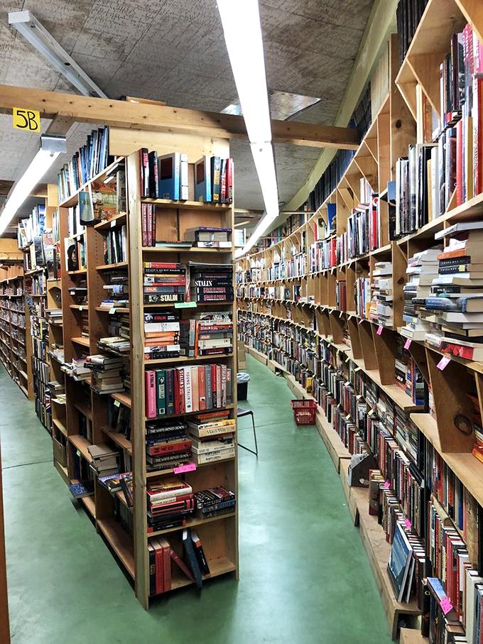 "Forget Narnia &ndash; this wardrobe leads to something even better!" Navigate the labyrinth of literature at Chamblin Bookmine, where every turn reveals a new story.