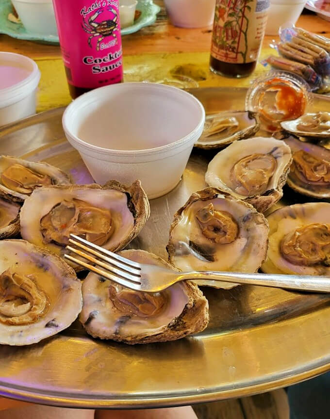 Briny treasures on the half-shell. These oysters are so fresh, you can almost hear the ocean whispering, "Enjoy!"