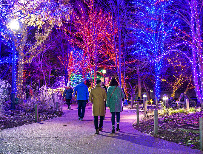 Stroll through an enchanted forest where every tree is a celebrity, dressed in its finest holiday attire. No paparazzi, please!