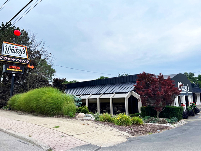 Whitey's: where the red balloon isn't just for aesthetics. It's a beacon guiding hungry souls to their fish-and-chip destiny. Talk about a Great Lakes lighthouse!