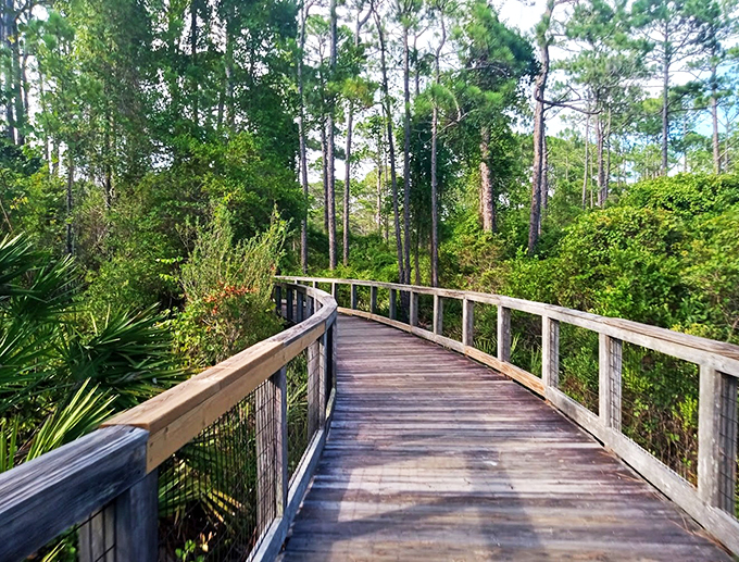 Who needs a yellow brick road when you've got this winding wonder? This trail promises more magic than Oz, minus the flying monkeys.