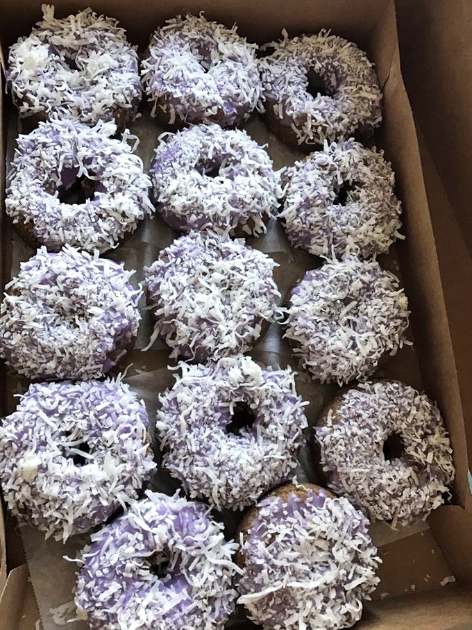 Coconut snowstorms on purple mountains of deliciousness. These ube coconut donuts are a tropical vacation for your mouth.