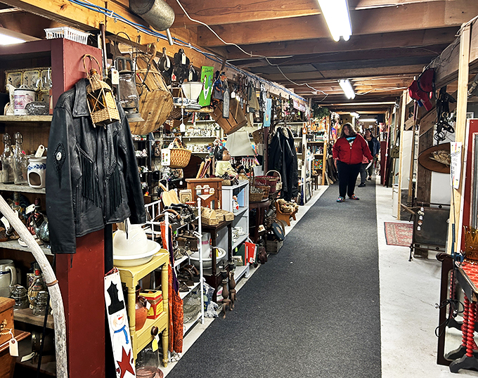 Treasure hunters in their natural habitat! Watch as they navigate the labyrinth of history, armed with curiosity and credit cards.