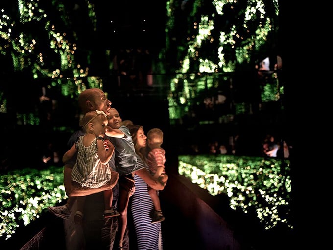Families reaching for the stars together. This immersive exhibit brings out the wide-eyed wonder in visitors of all ages.