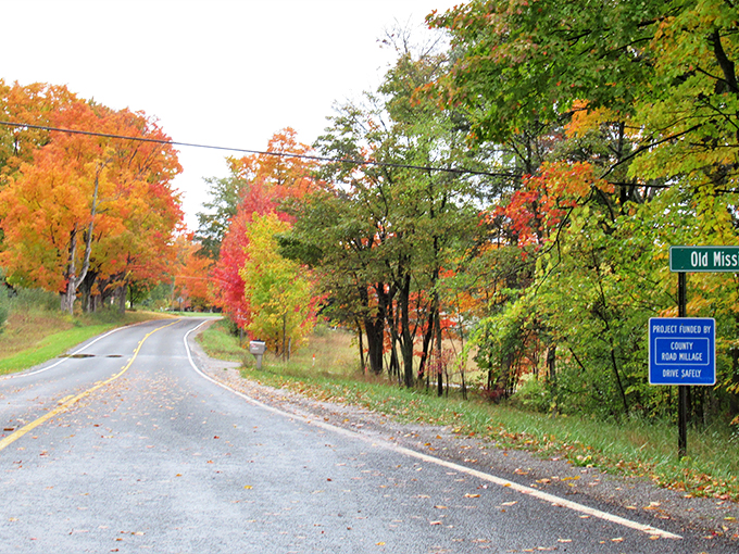 Caution: Curves ahead! This winding road is like nature's own rollercoaster, minus the long lines and overpriced snacks. Photo credit: Wikipedia