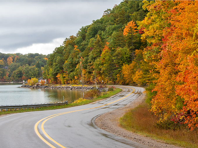 Fall's confetti parade is in full swing! These trees are partying harder than Times Square on New Year's Eve. Photo credit: Old Mission Gazette