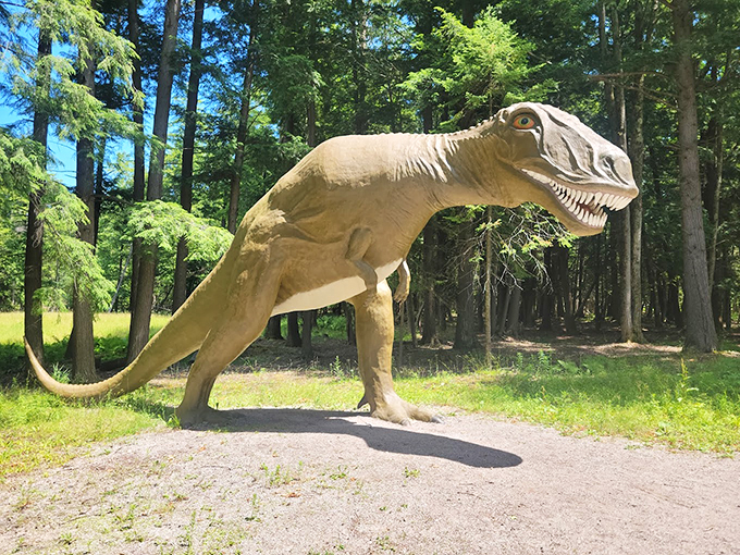 "Jurassic Park meets Alice in Wonderland! These dinos look ready for a prehistoric tea party." Photo credit: Richard F