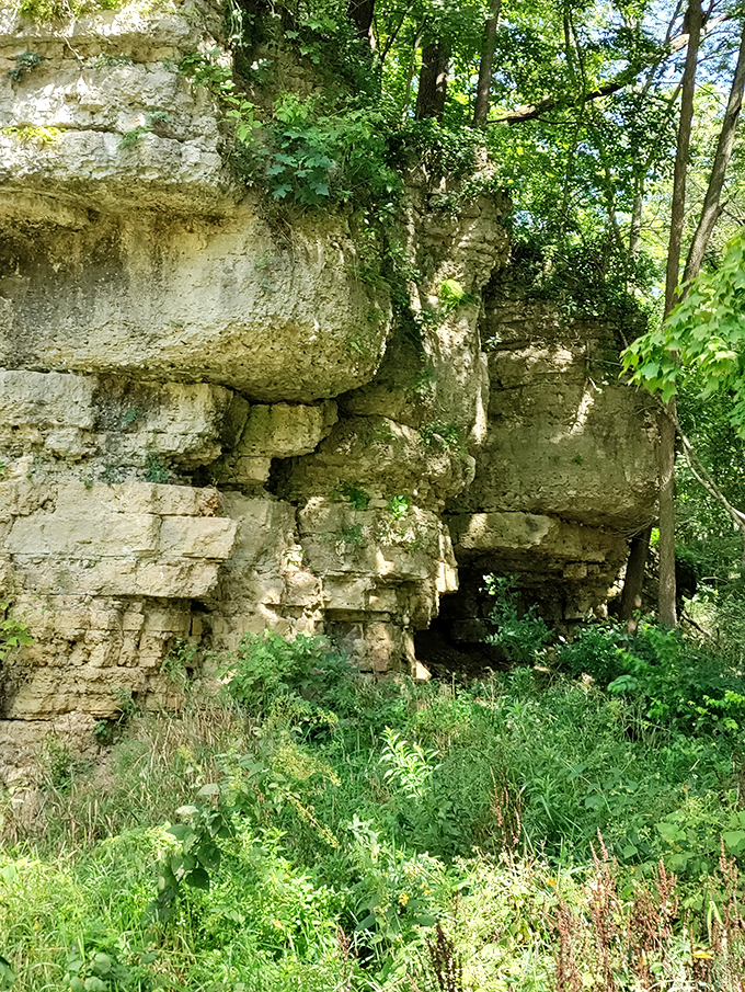 Limestone cliffs that could give the Appalachians a run for their money. Who knew Illinois had such vertical ambitions?