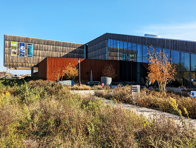 The Bell Museum: Where Mother Nature shows off her greatest hits, and the planetarium takes you to infinity and beyond!