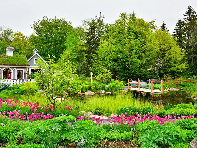 Giant wooden trolls in a botanical wonderland? Coastal Maine Botanical Gardens: Where fantasy meets photosynthesis.