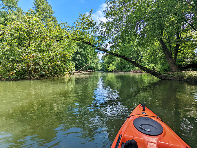 Tree-lined tranquility! Deer Creek's shores offer a perfect blend of forest shade and lakeside sunshine.