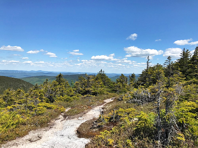 Grafton Notch's trails: Where every step is a story, and every view is a novel. Time to start your adventure!