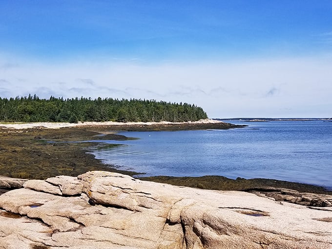 Great Wass Island's rugged coastline: Where the land meets the sea in a dramatic standoff. It's like "West Side Story," but with rocks and waves.
