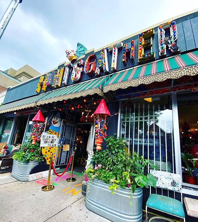 Step into a whimsical world where vintage meets quirky! Hunt & Gather is an Aladdin's cave of retro treasures.