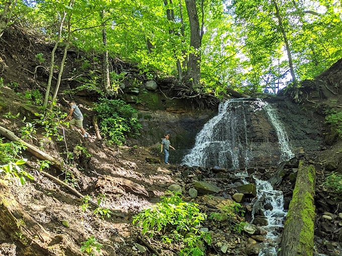 The St.Croix River carved these dramatic cliffs, creating Wisconsin's own version of the Grand Canyon.