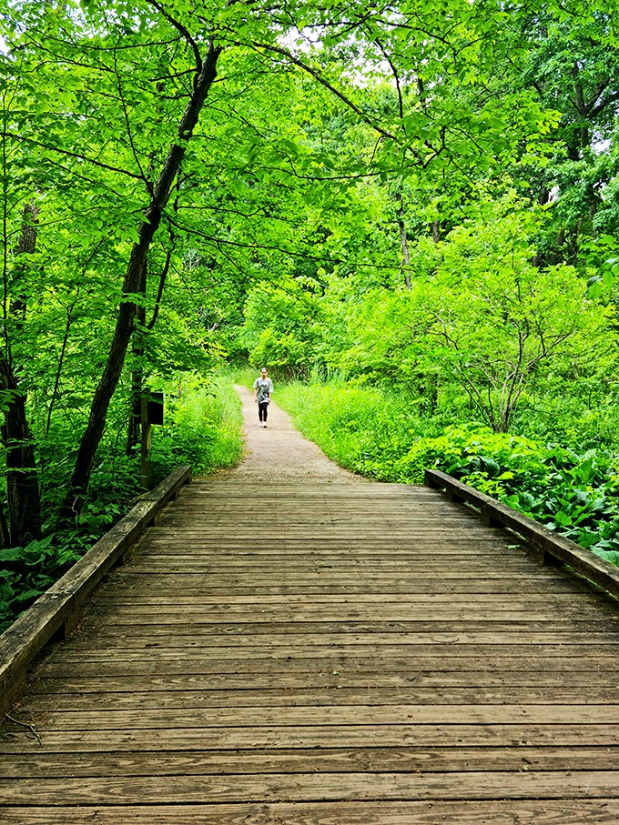 Lake life at its finest! Kensington Metropark's pier offers a front-row seat to nature's own reality show.