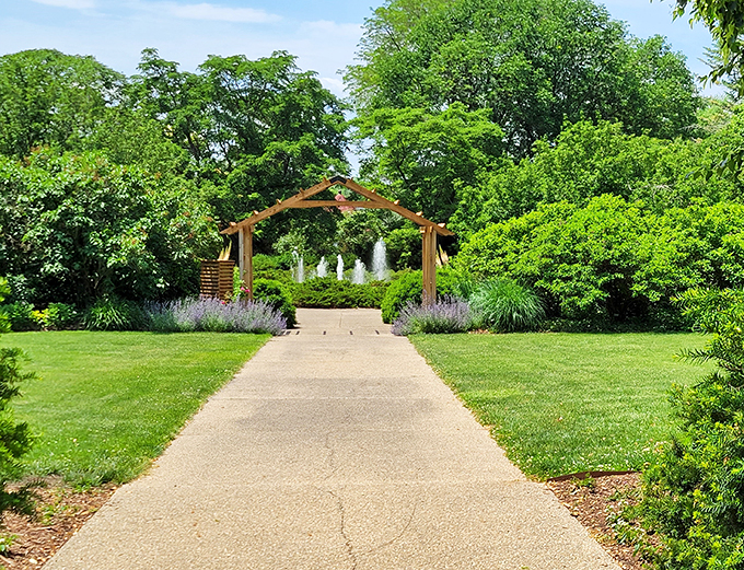 Lily pad overload at Luthy Garden! One small step for man, one giant leap for frogkind.