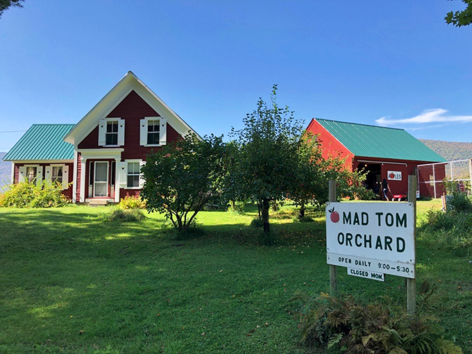 Welcome to apple wonderland! This charming sign promises a day of fruity adventures and homespun delights.