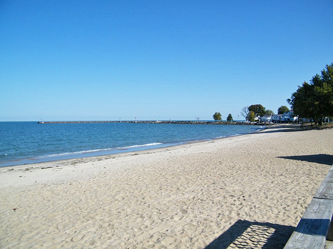 Puppy paradise found! Where every dog has its day, and that day involves a lot of splashing, fetching, and sandy belly rubs.