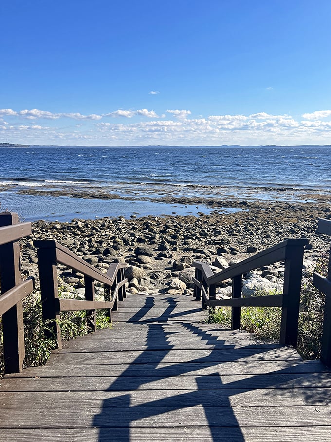 Moose Point State Park: Where the ocean views are endless and the moose&hellip; well, they're probably busy elsewhere. Seals are the new beach bums!