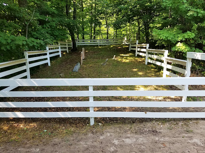 Nature's memorial garden. Weathered stones emerge from lush greenery, creating a poignant reminder of life's cycles amidst stunning natural beauty.