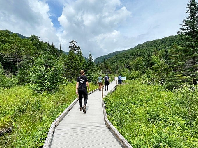 Smugglers' Notch: Where the trail is your red carpet and the trees are your paparazzi.