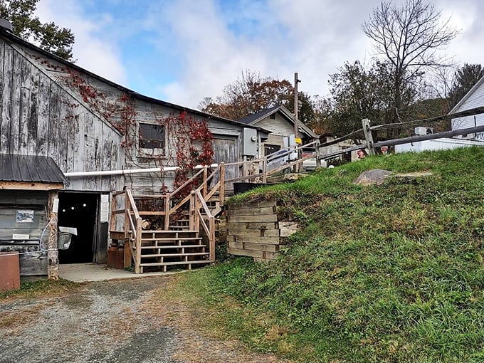 Where maple dreams come true. Prepare for a sticky-sweet flavor explosion!