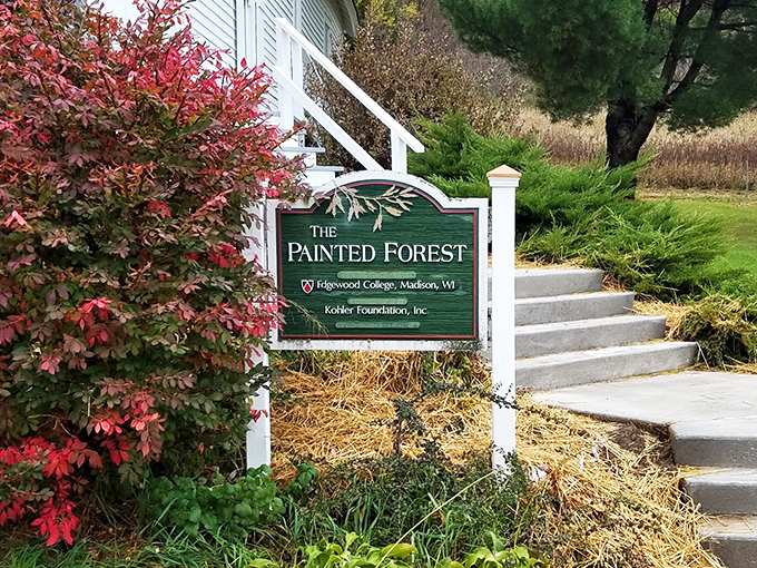 Step into a storybook! This enchanted woodland makes you feel like you've tumbled down the rabbit hole.