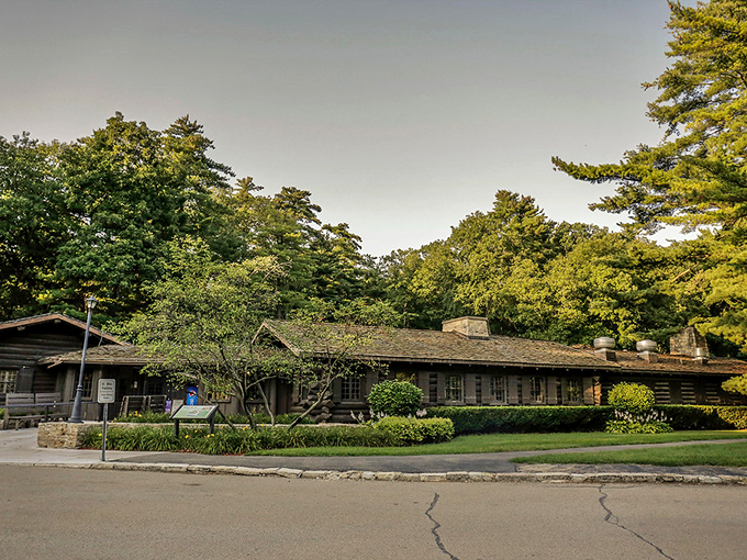 Where the forest meets footlights! This log cabin theater proves you can have your dinner and your drama too, nestled in nature's embrace.