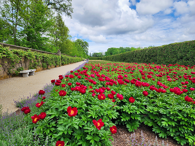 Stairway to heaven or catwalk for nature's finest? Either way, this garden's got more layers than an onion. Photo credit: Chris Fascian
