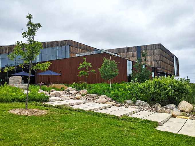 Step into Minnesota's wild side at the Bell Museum. It's like a nature hike, minus the mosquitoes and with better air conditioning.