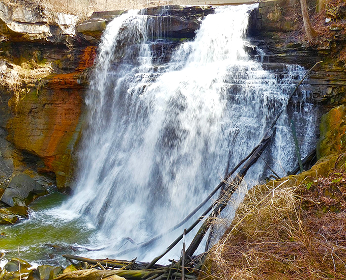 Nature's own spa treatment. Stand close enough, and you'll get a free facial mist - dermatologists hate this one weird trick!