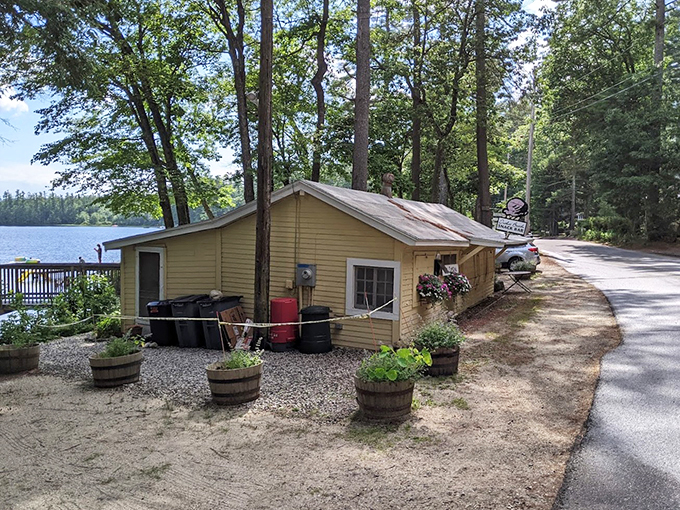 Rustic charm meets gourmet flavors at Bresca and the Honey Bee. It's like a fairy tale, but with more sprinkles!