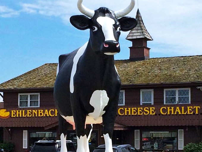 Holy cow, it's cheese heaven! This charming chalet proves that sometimes, the best things in life are made of dairy.